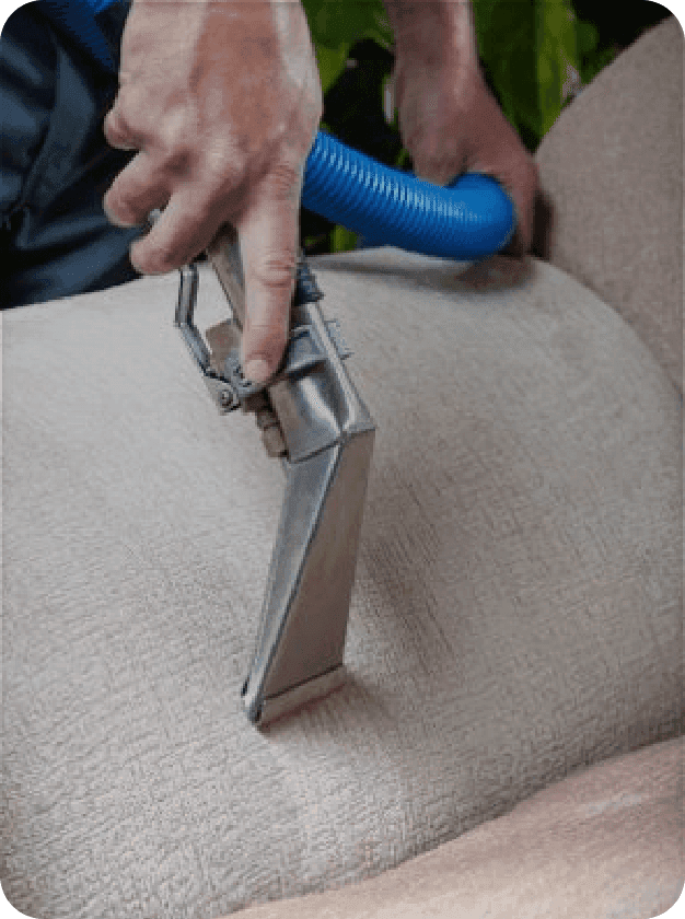 Eco-Friendly Laundry and Dry Cleaning Services | WashyWash